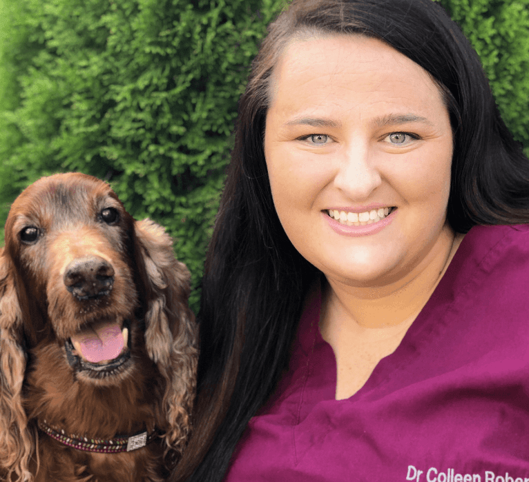 Our Award-Winning Team