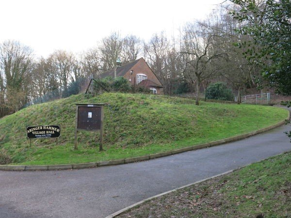 Home [www.abingerhammervillagehall.org]