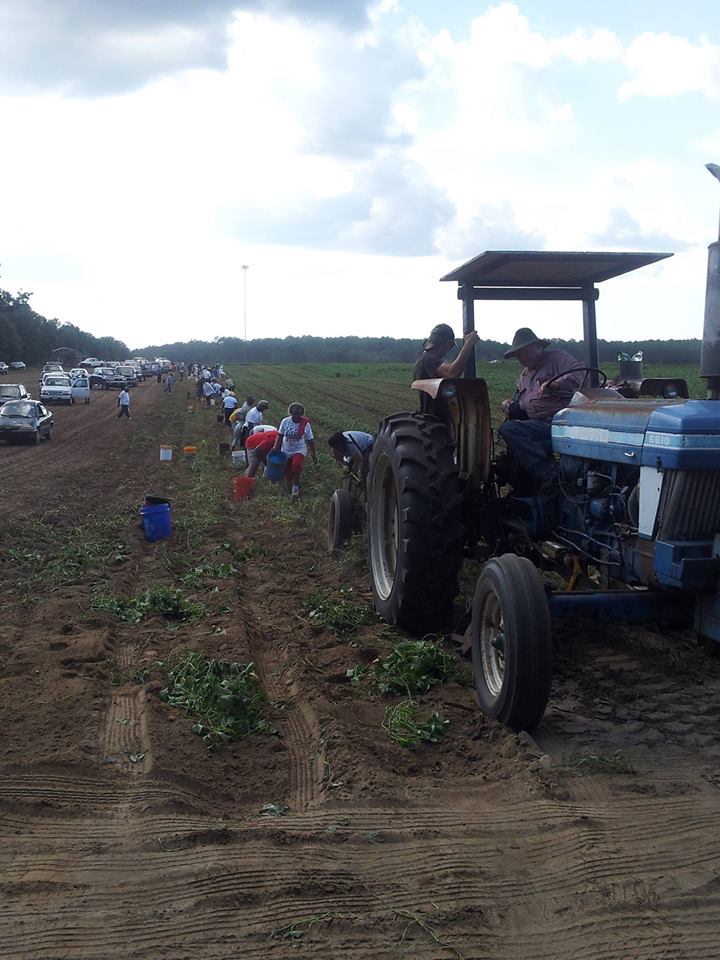 Home [www.longfarmsnatural.com]