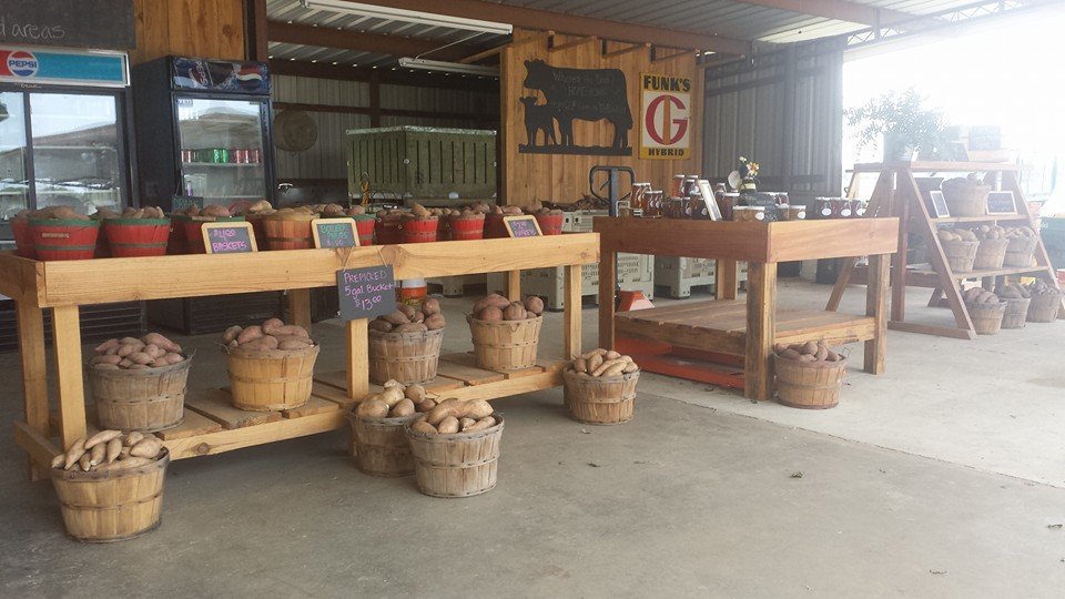 Home [www.longfarmsnatural.com]