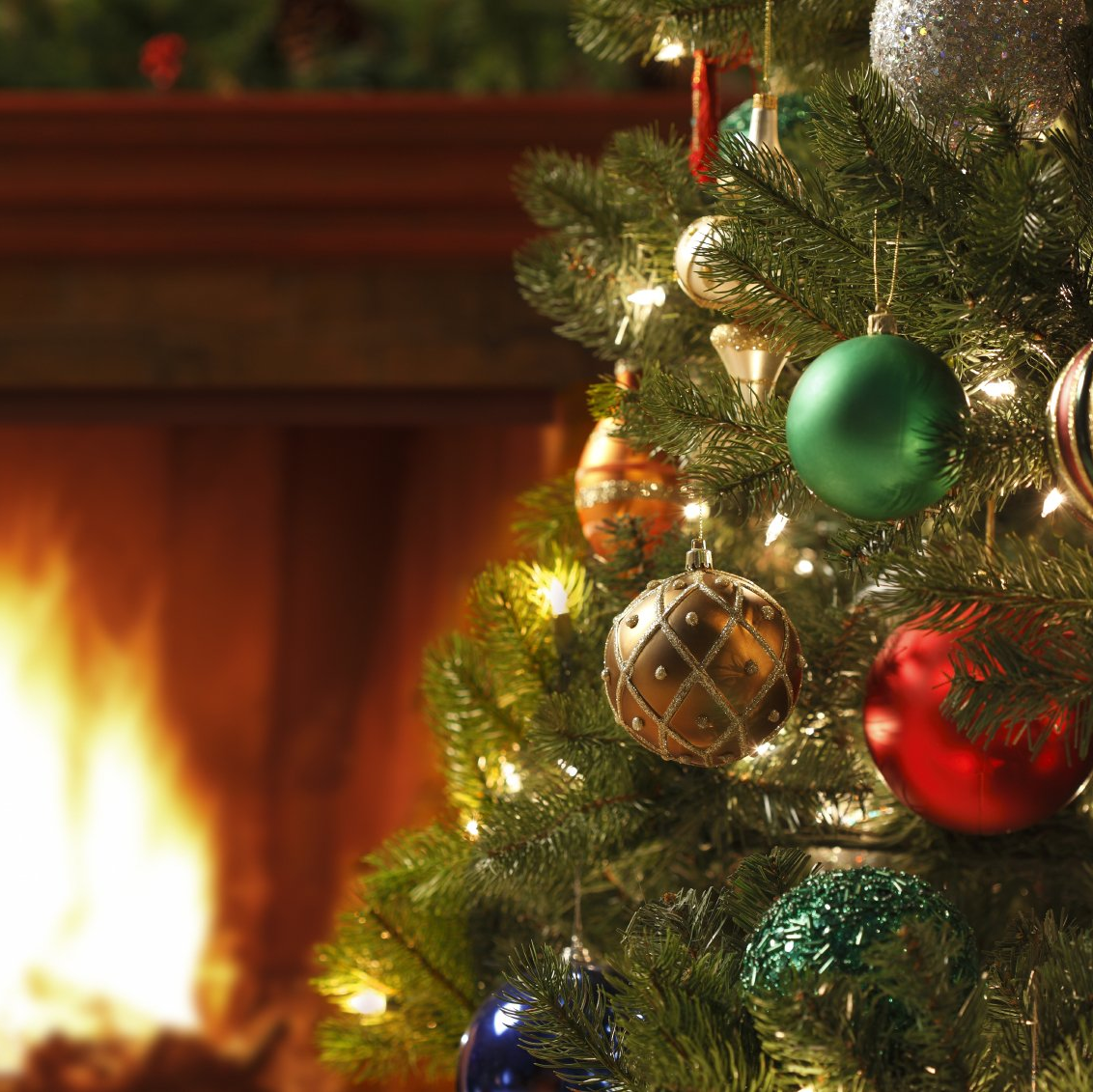 Festive Tips and More...