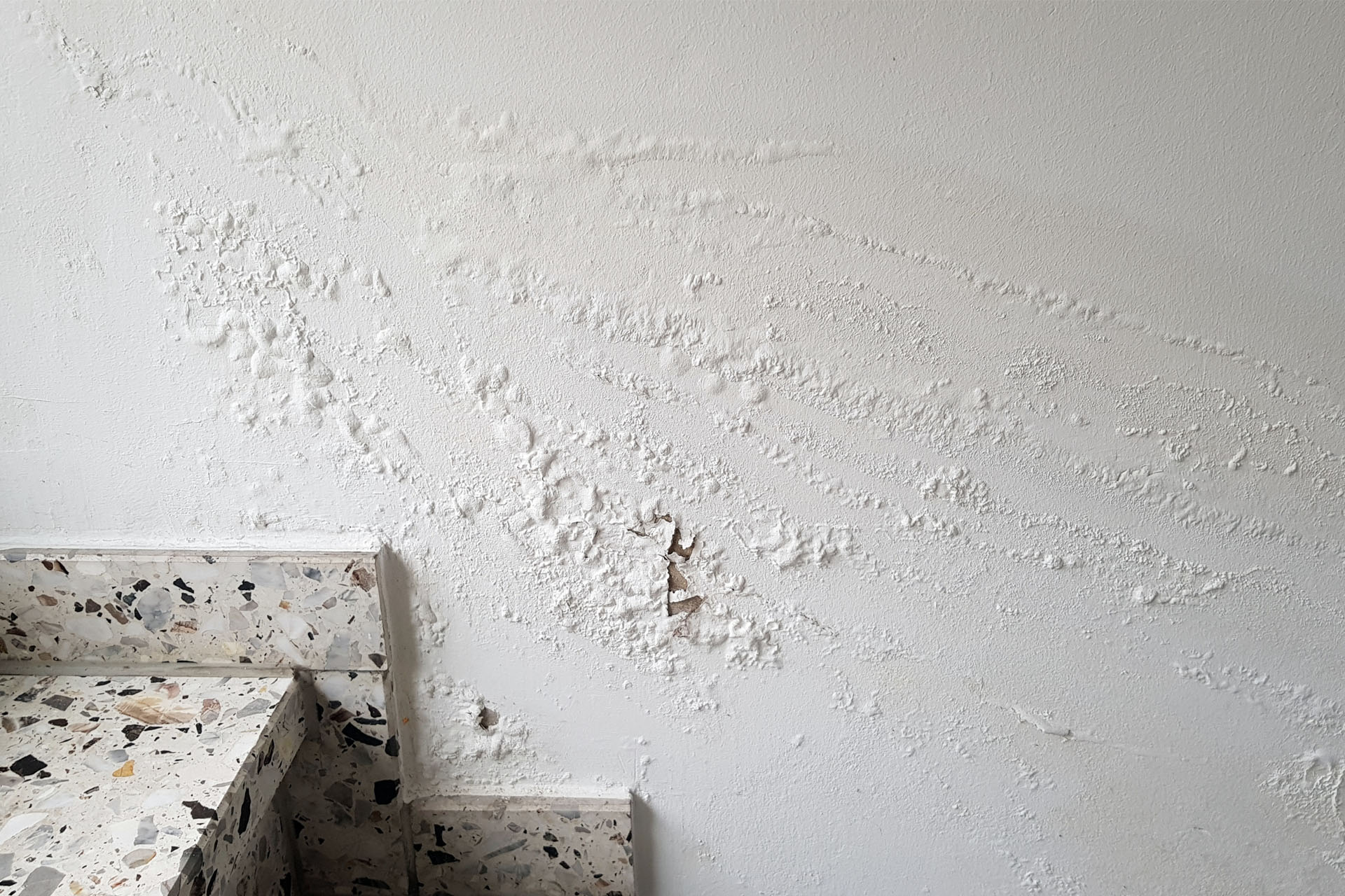 The Damp Doctor Ltd - Damp Proofing Specialists