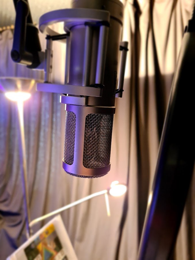 Brauner Valvet Röhrenmikrofon