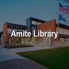 Home [www.townofamitecity.com]