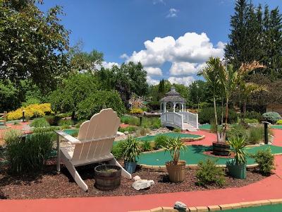 Home [www.palmspringsminigolf.com]