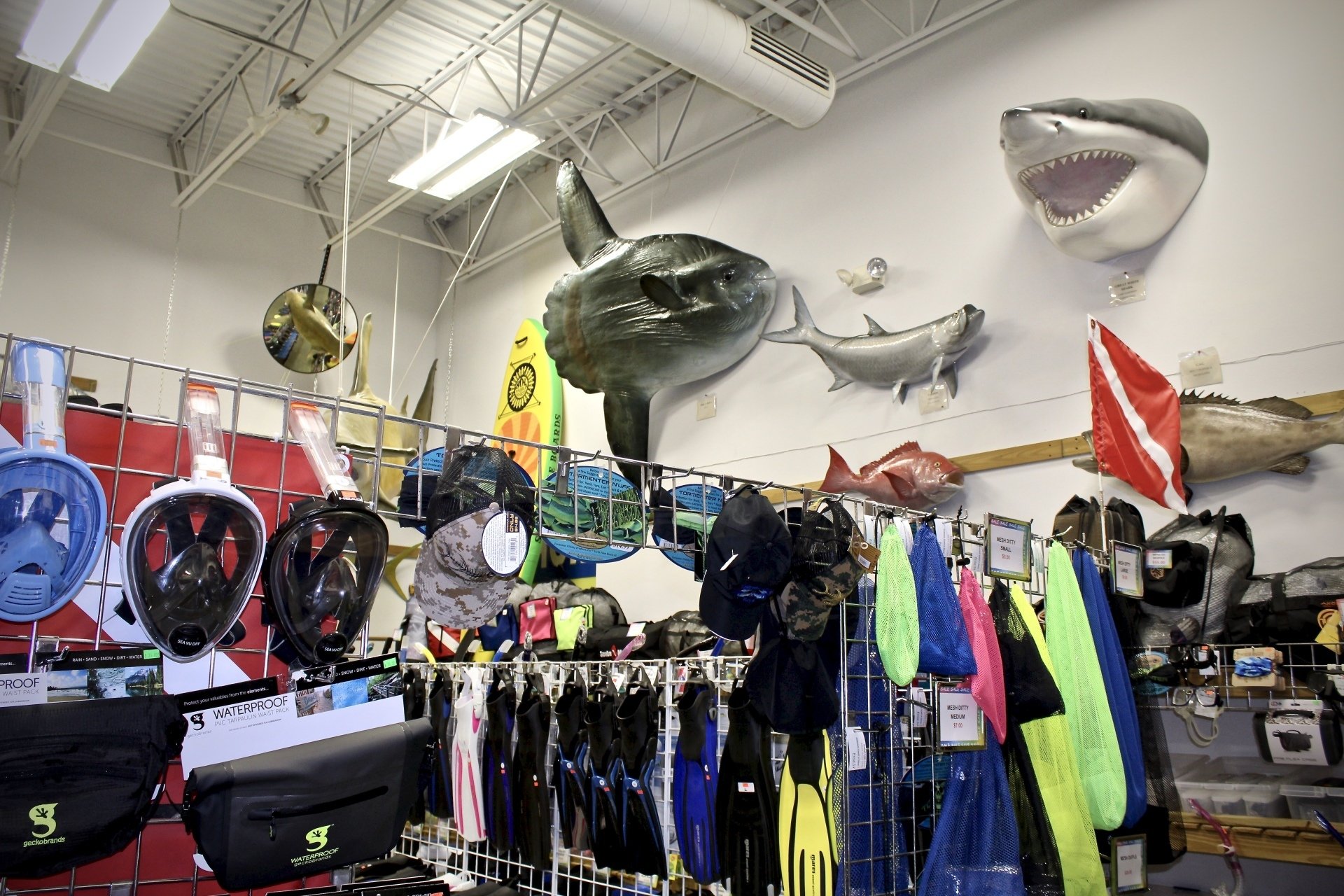 Scuba Quest Florida's Premier Full Service Dive Center