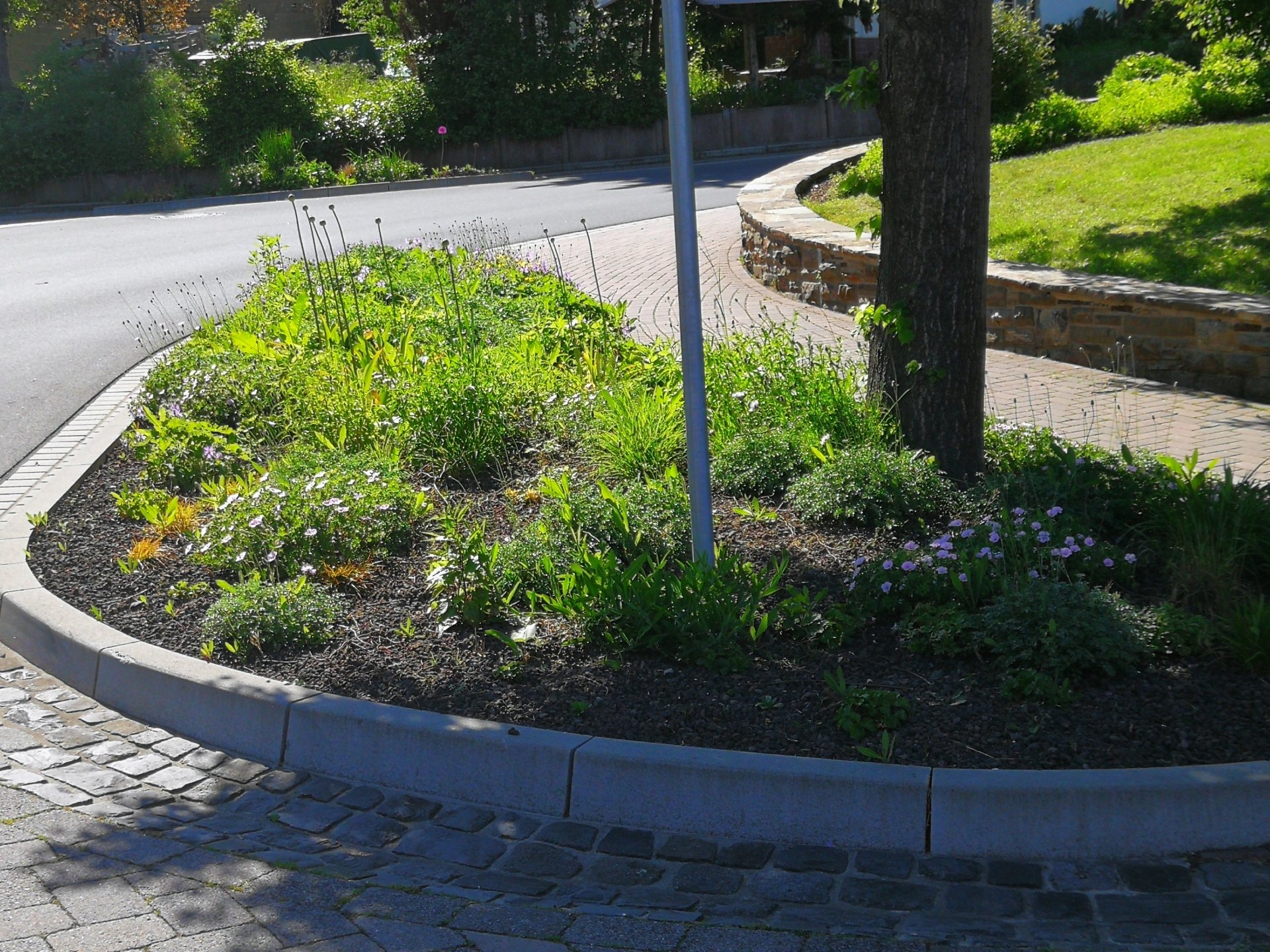 Gackenbach, Buchfinkenland, Ortsgemeinde Gackenbach, Wild- und ...