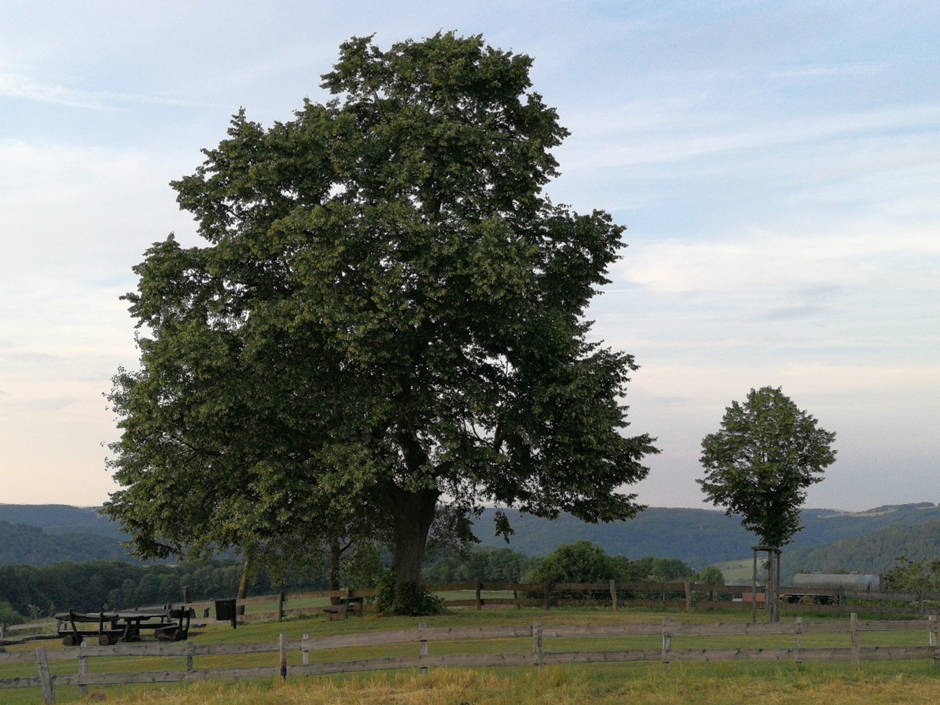 Gackenbach, Buchfinkenland, Ortsgemeinde Gackenbach, Wild- und ...