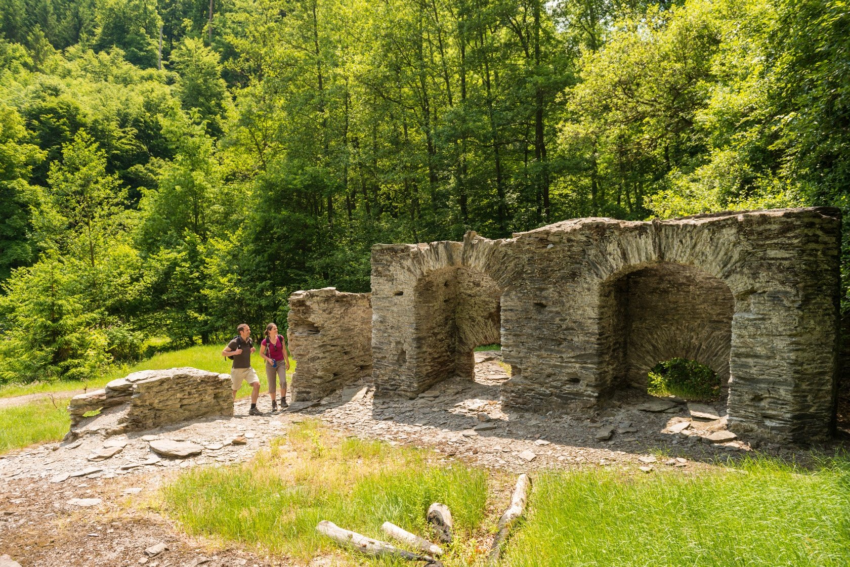 Gackenbach, Buchfinkenland, Ortsgemeinde Gackenbach, Wild- und ...