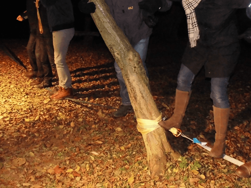 Teamtraining Mohawk Walk mit Team-Events.Berlin