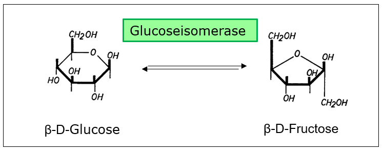 Glucoseisomerase zur Isomerisierung von Glucose-Fructose