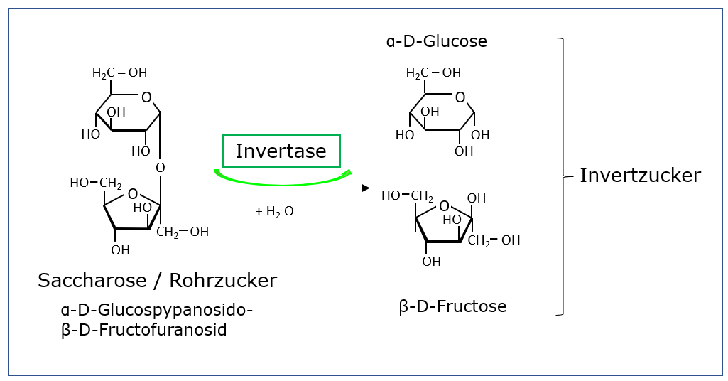 Invertase in der Verarbeitung von Süßwaren - Zusatzstoff 1103