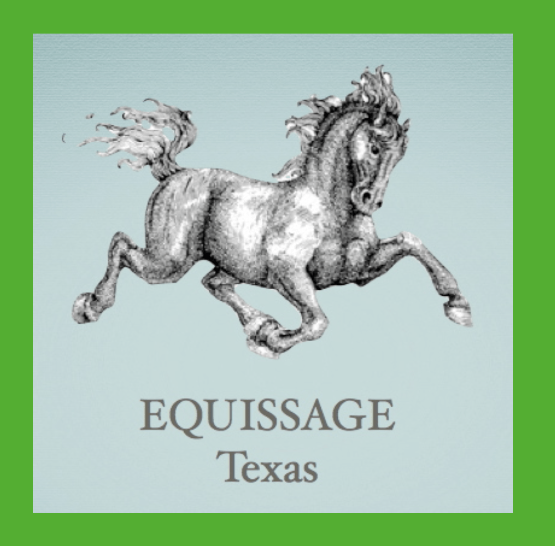 Equissage Texas: Leading School of Equine Sports Massage