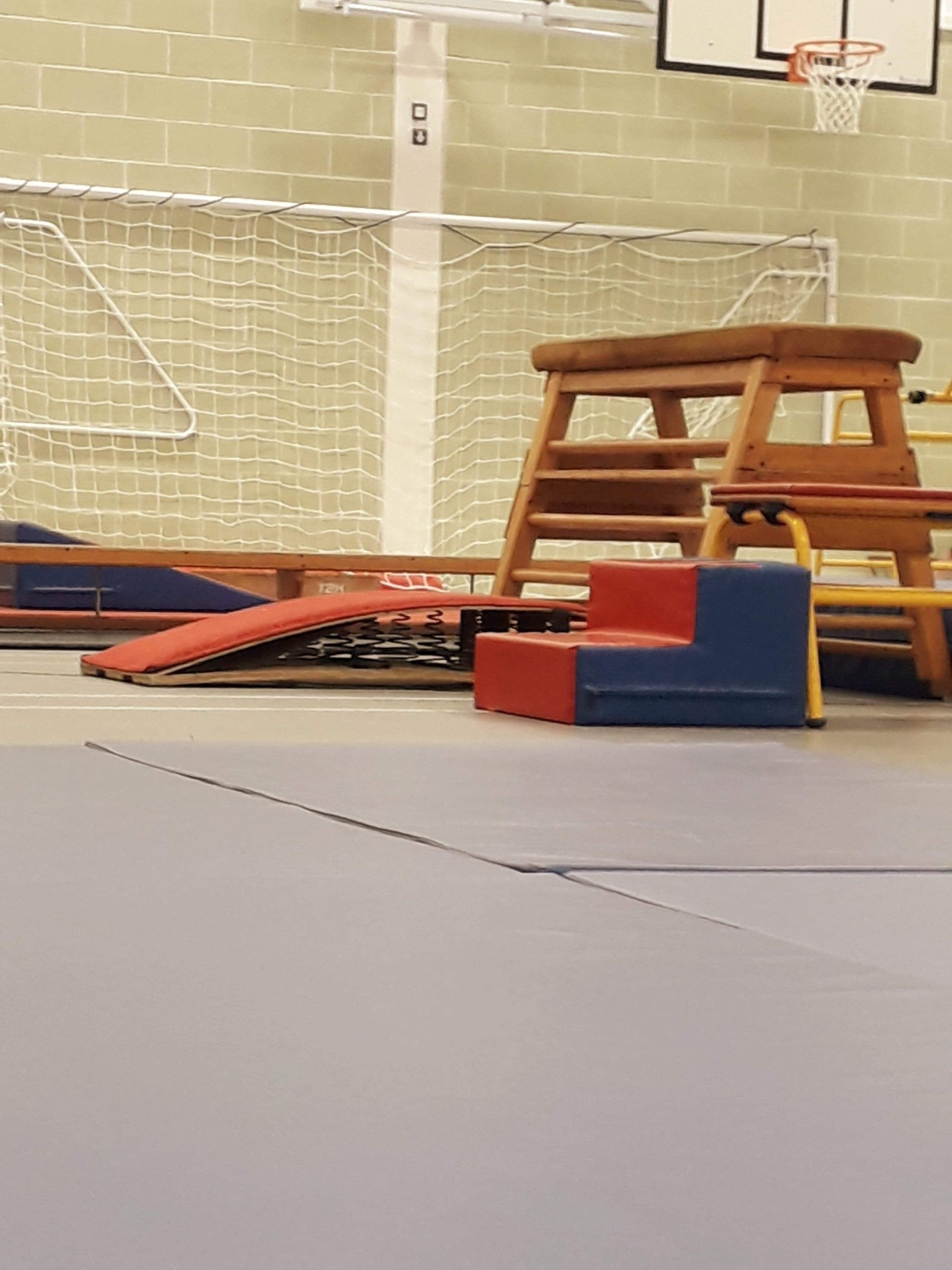 Gymnastics Club | Swansea, Llandysul | Dimax