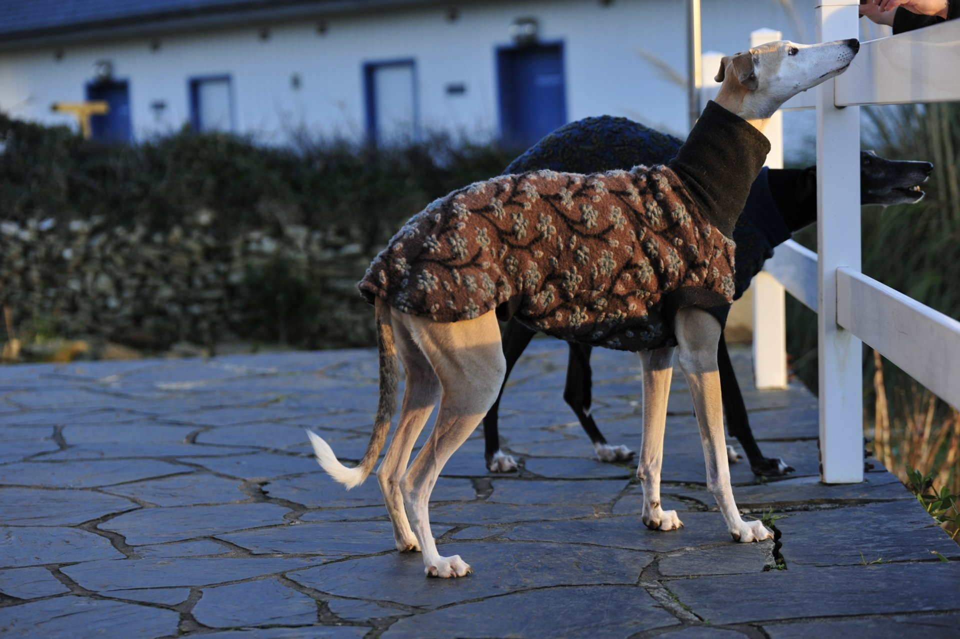 Pullover aus Walkloden