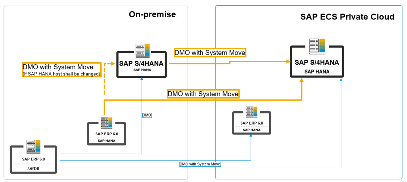 DMOVE2S4 and Homogeneous option for SUM DMO