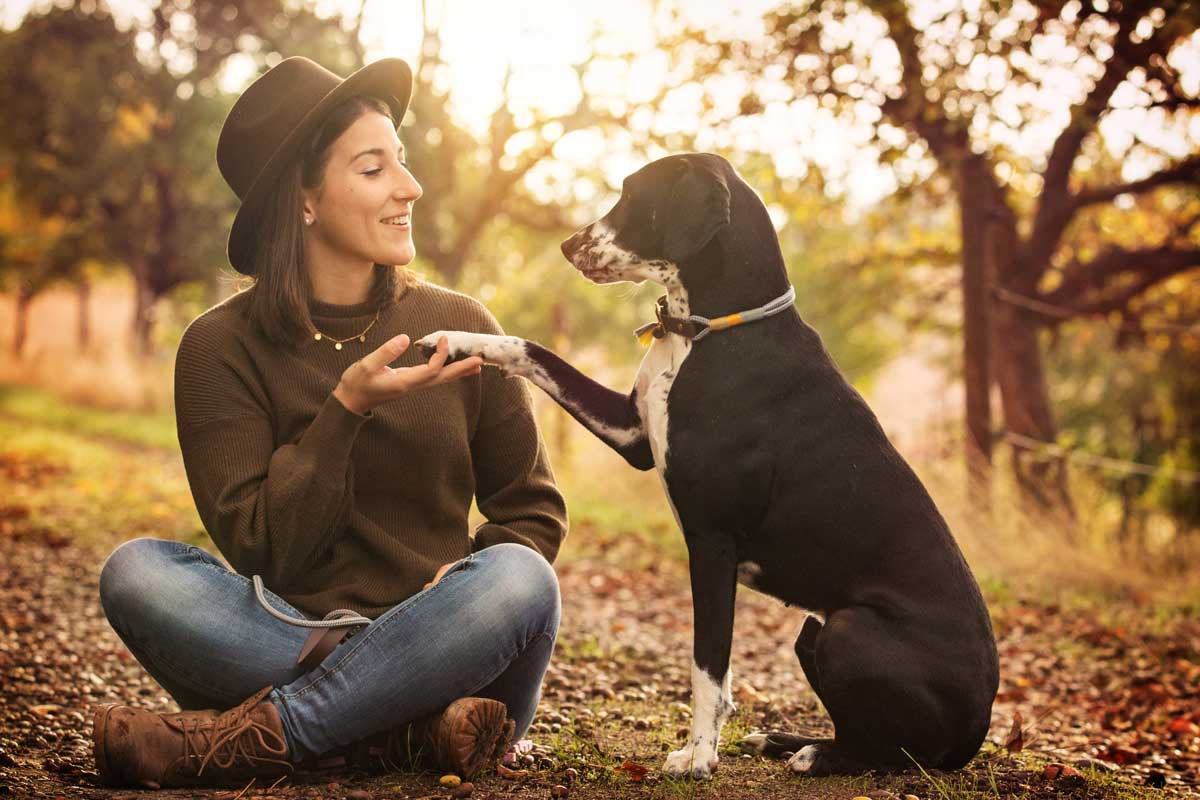 LL Photography - Portfolio Mensch & Tier