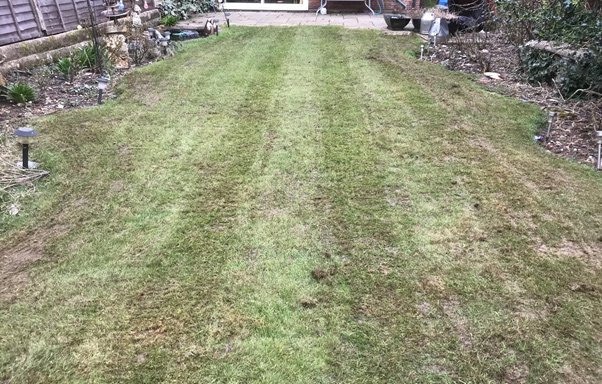 4 week scarification project in Bromsgrove