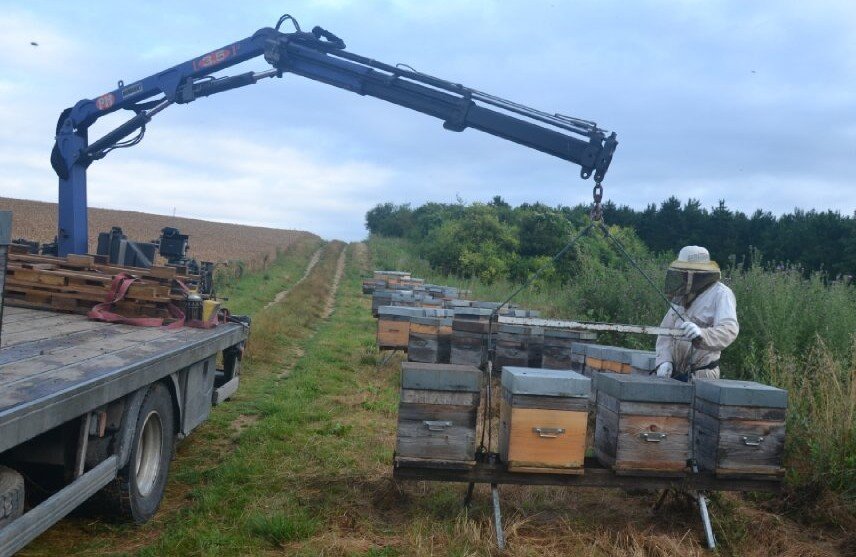 Au Rucher : palettes RB et support de ruches