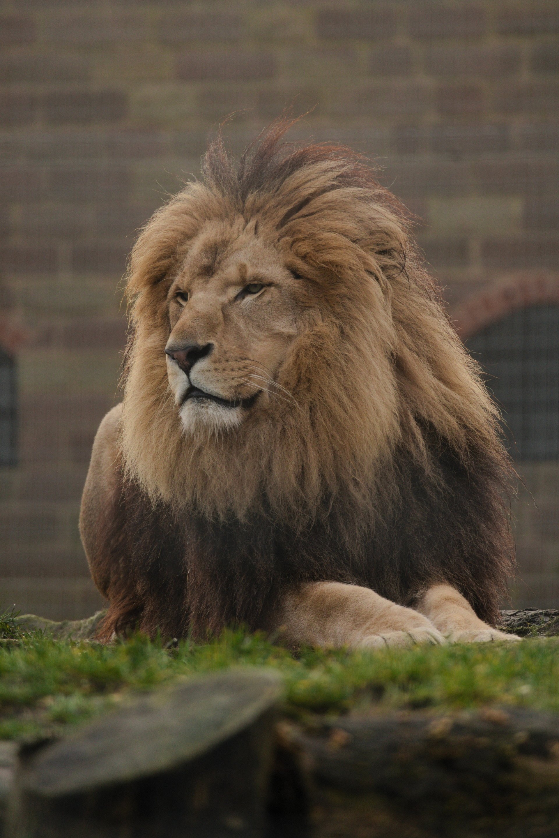 Wolds Wildlife Park