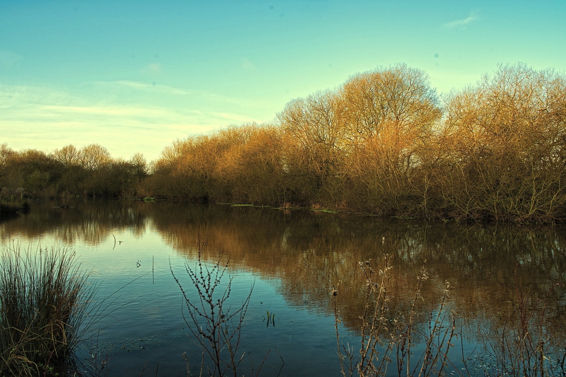 A walk around Hallington