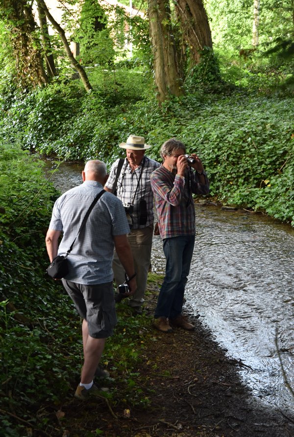 Newsletter - 13th June 2021