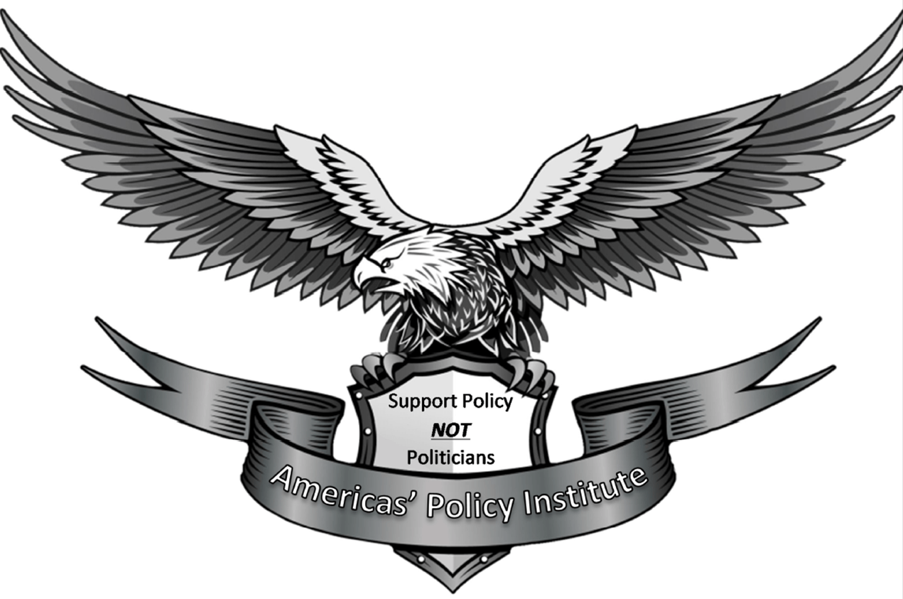 Americas Policy Institute