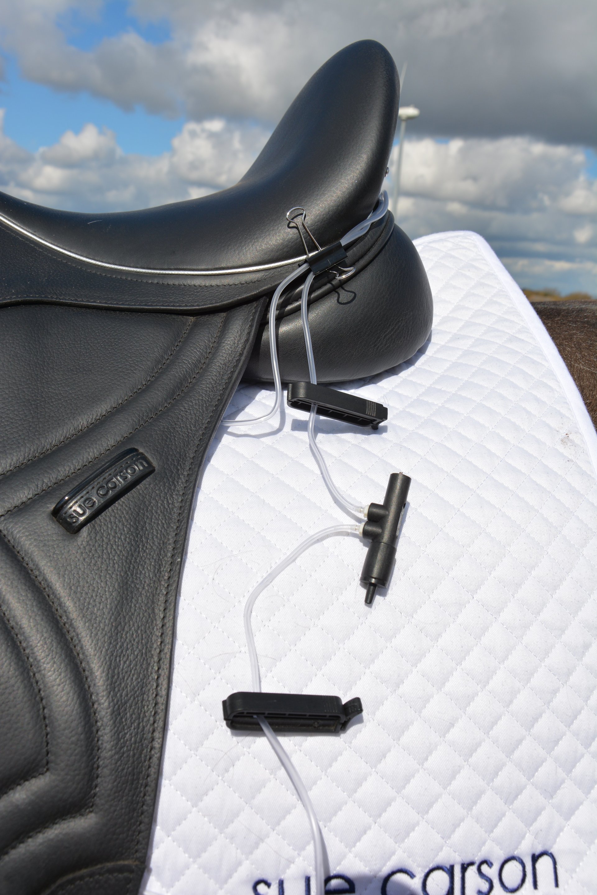Sue Carson Saddles, balancing comfort with performance.