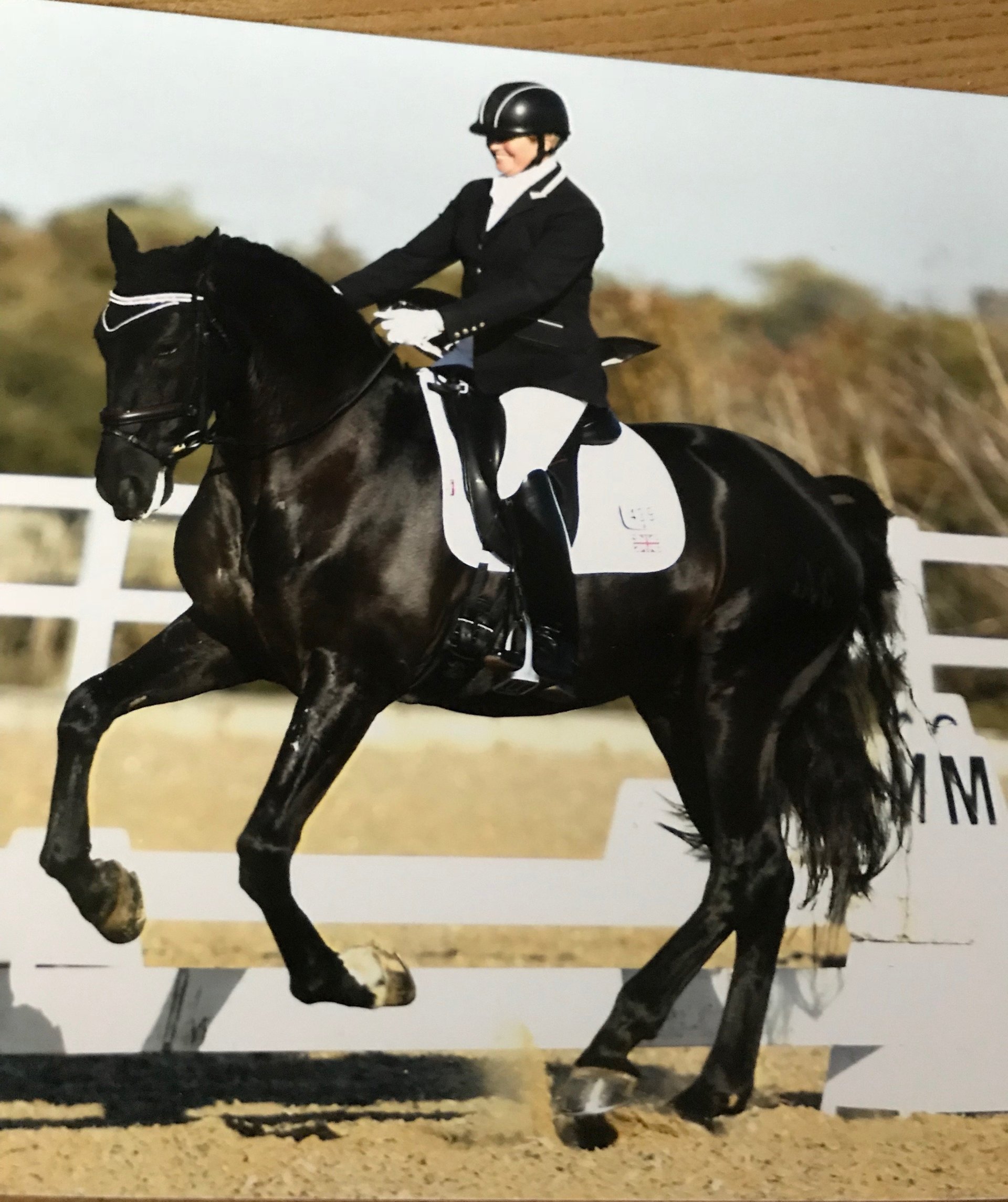 Sue Carson Saddles, balancing comfort with performance.