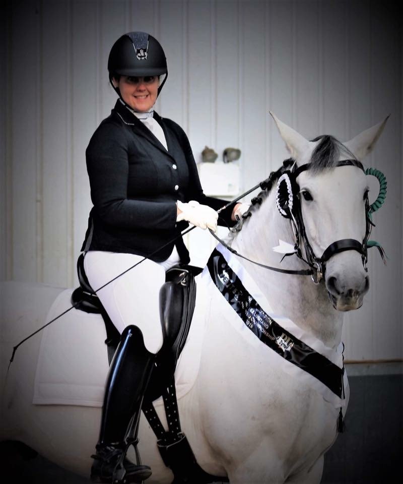 Sue Carson Saddles Collection