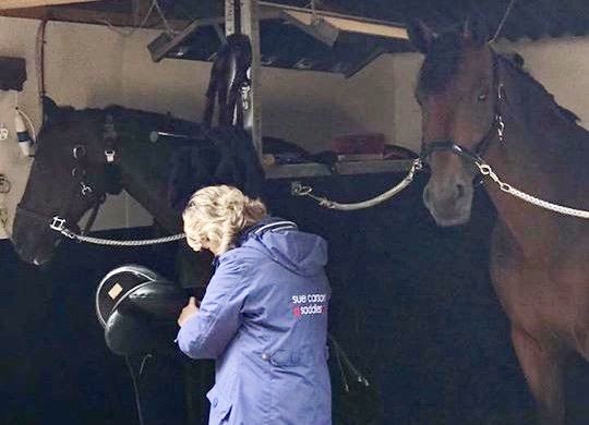 Sue Carson Saddles, balancing comfort with performance.