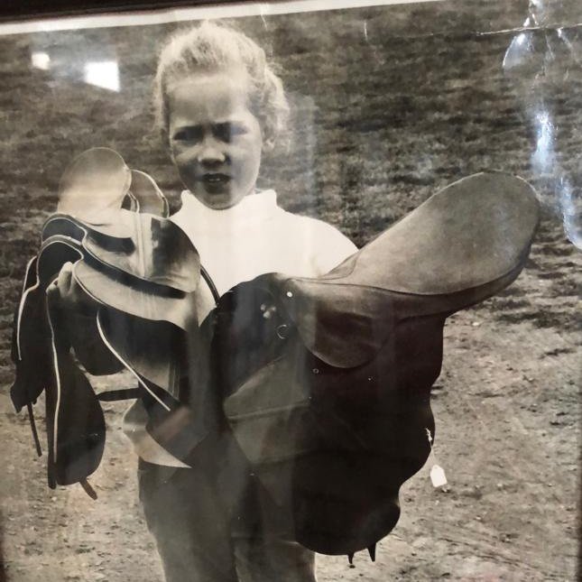 Sue Carson Saddles, balancing comfort with performance.