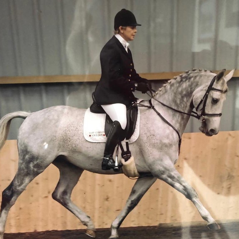 Sue Carson Saddles, balancing comfort with performance.