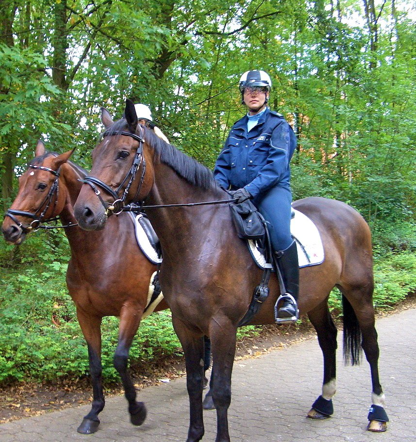 Polizei NRW - Ausbildung und Studium Polizei NRW
