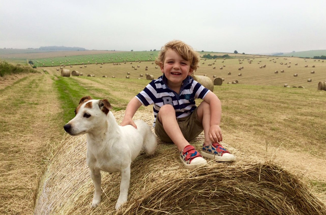 Luxury glamping and stunning cottages on the South Downs