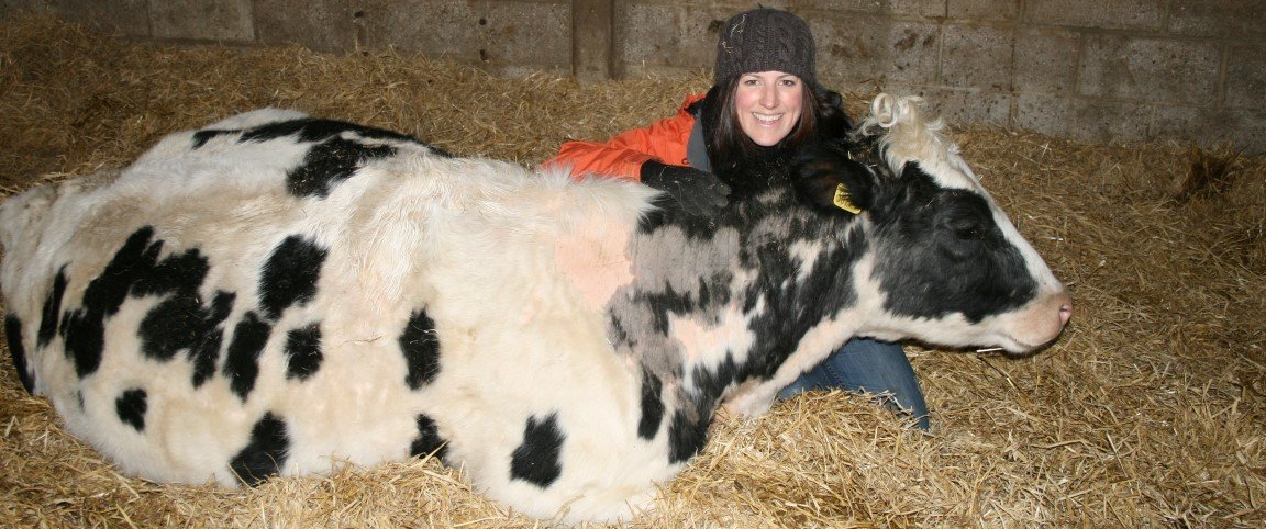 Luxury glamping and stunning cottages on the South Downs