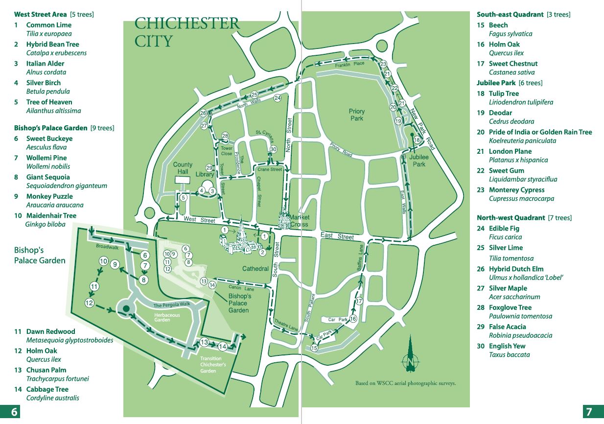 treesinchi.org by Chichester Tree Wardens