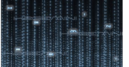 Home [www.h2gemini.com]