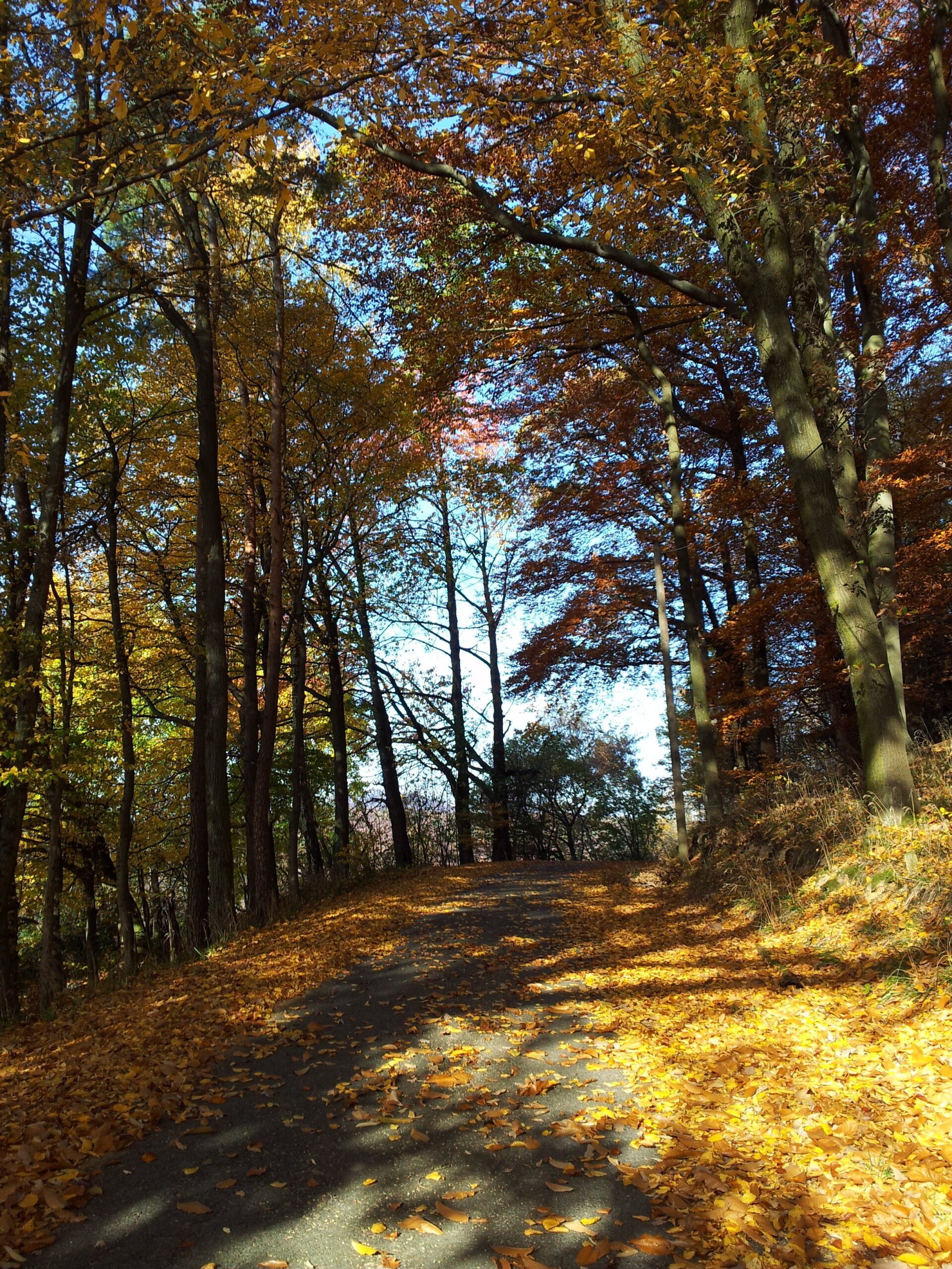Stettbach im Odenwald (Gemeinde Seeheim-Jugenheim)