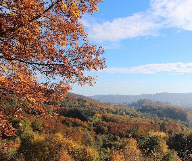 Stettbach im Odenwald (Gemeinde Seeheim-Jugenheim)