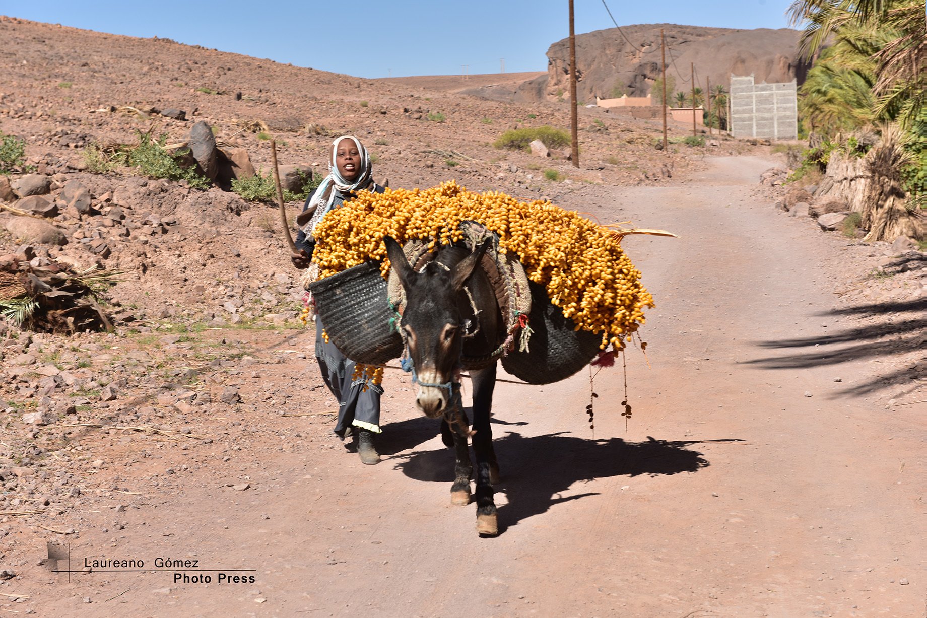 MARRUECOS: LA CULTURA BEREBER