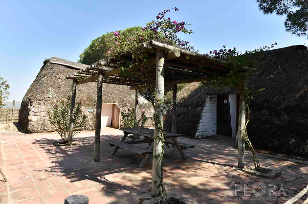 LAS CHOZAS CENTENARIAS DEL PARQUE NACIONAL DE DOÑANA