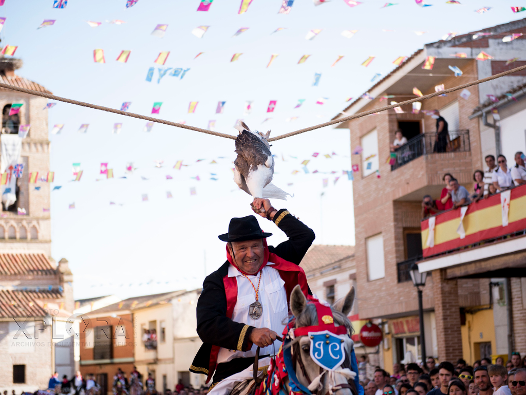 LA TRADICIÓN DE LA CARRERA DE GANSOS