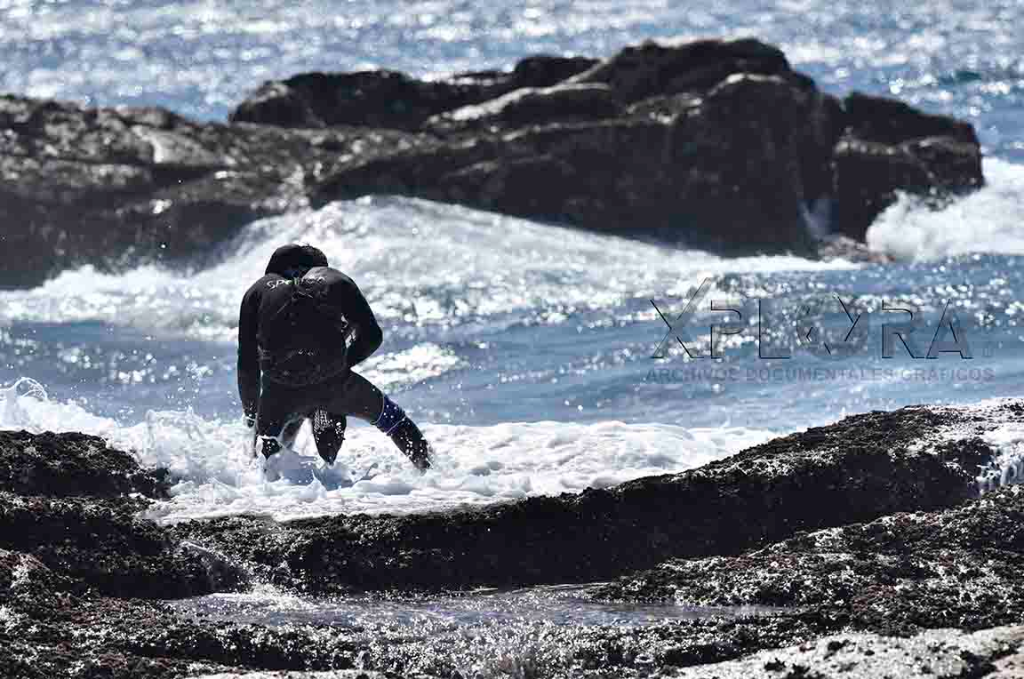 LOS PERCEBEIROS GALLEGOS Y EL DASAFIO AL MAR