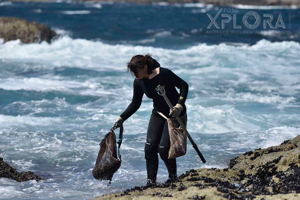 LOS PERCEBEIROS GALLEGOS Y EL DASAFIO AL MAR