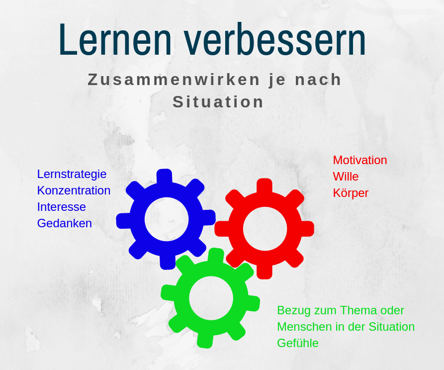 Schule und Lernen- Blockaden lösen um einfacher zu Lernen