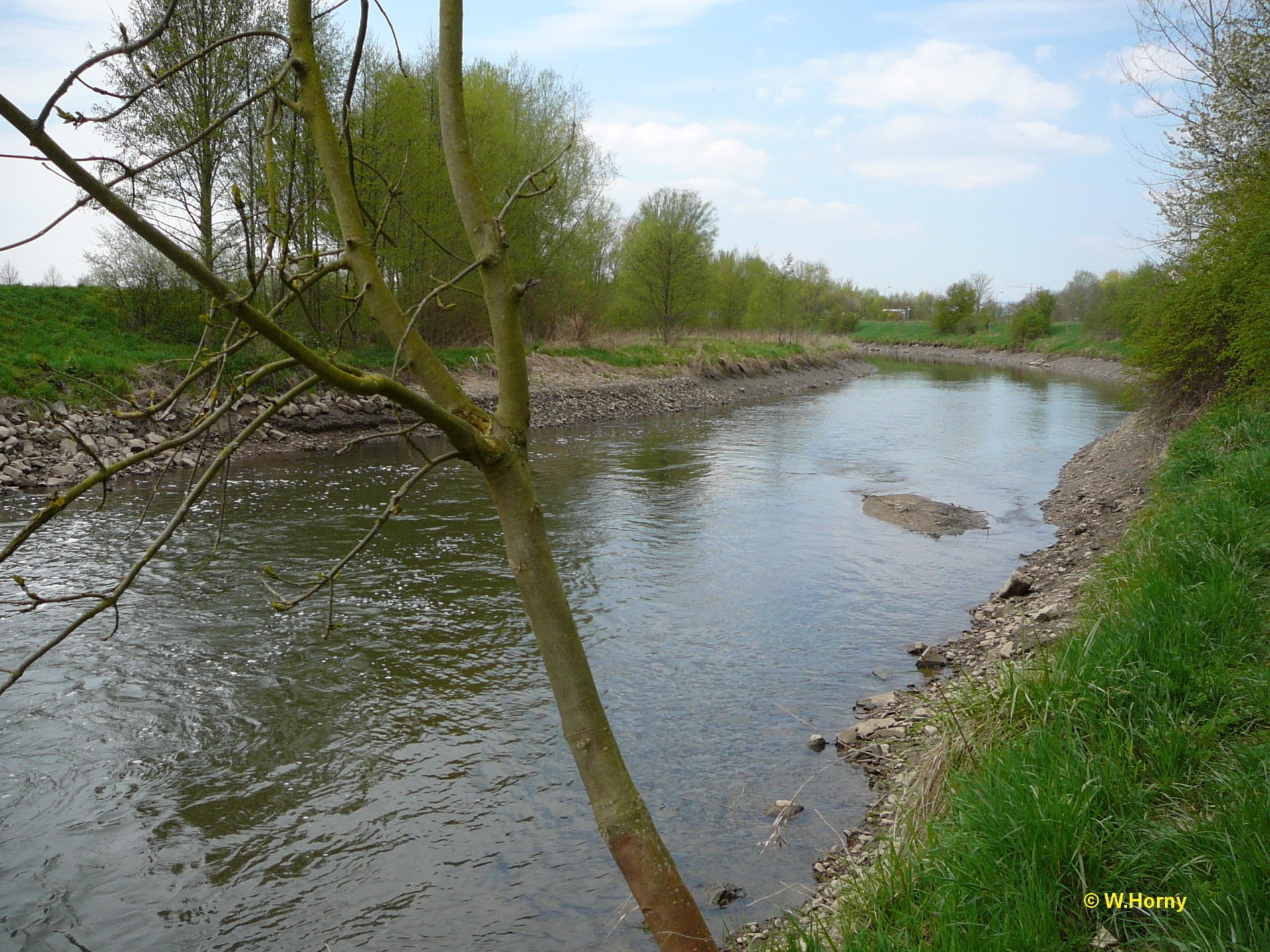 Nidda