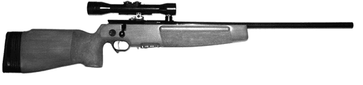 Scharfschützengewehr SSG-82