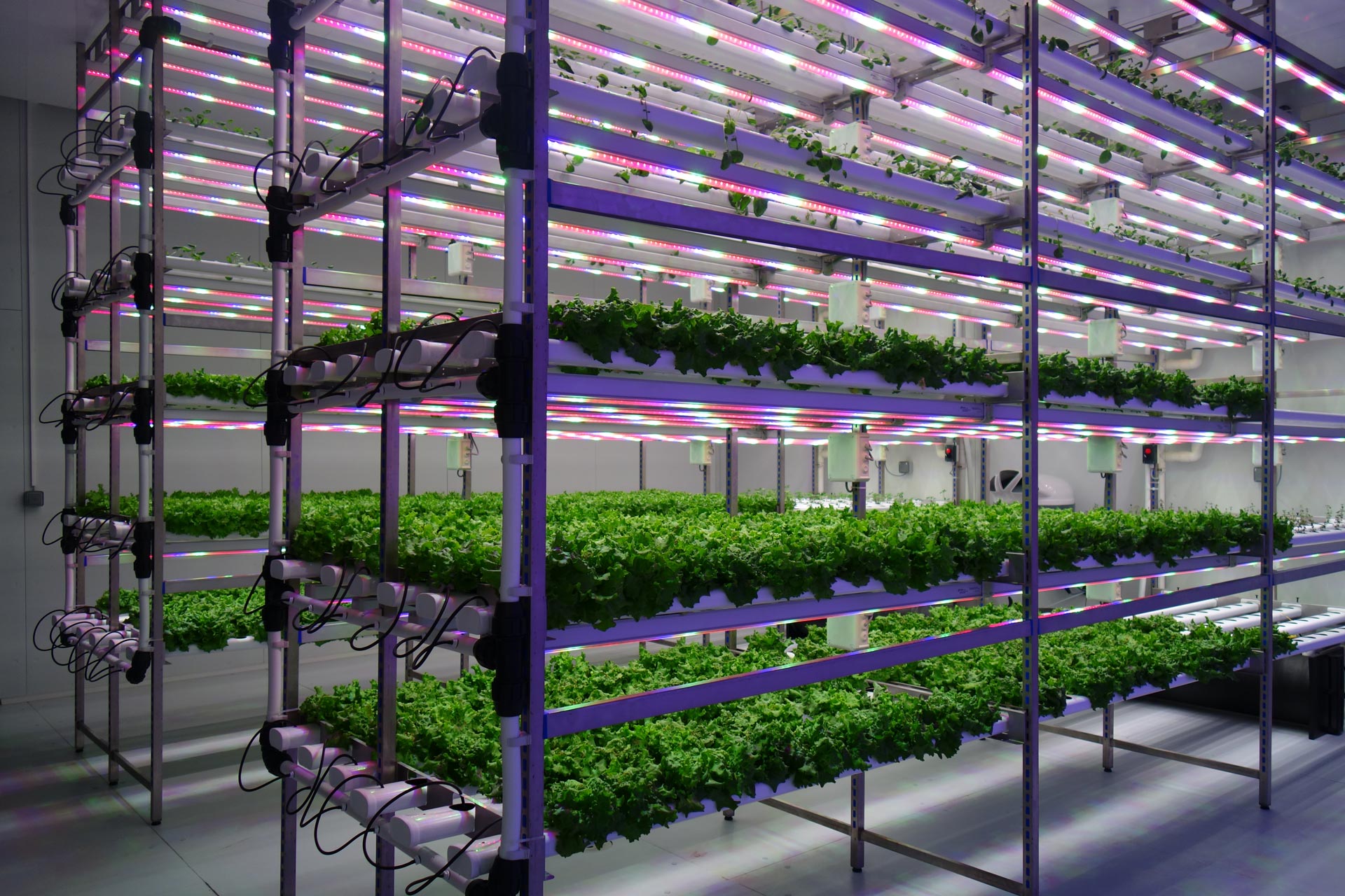 TERRAFARM