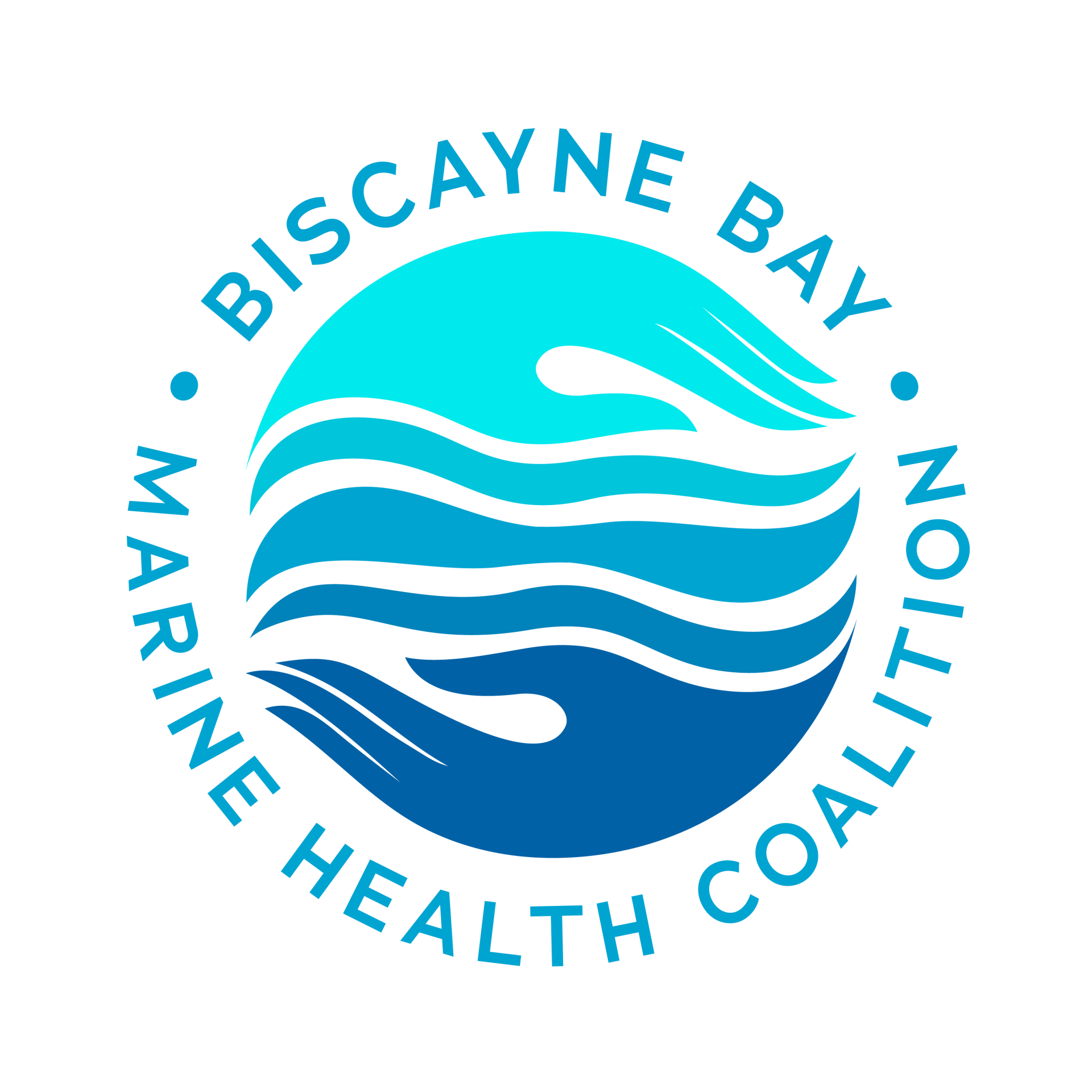 Biscayne Bay Marine Health Coalition (BBMHC)